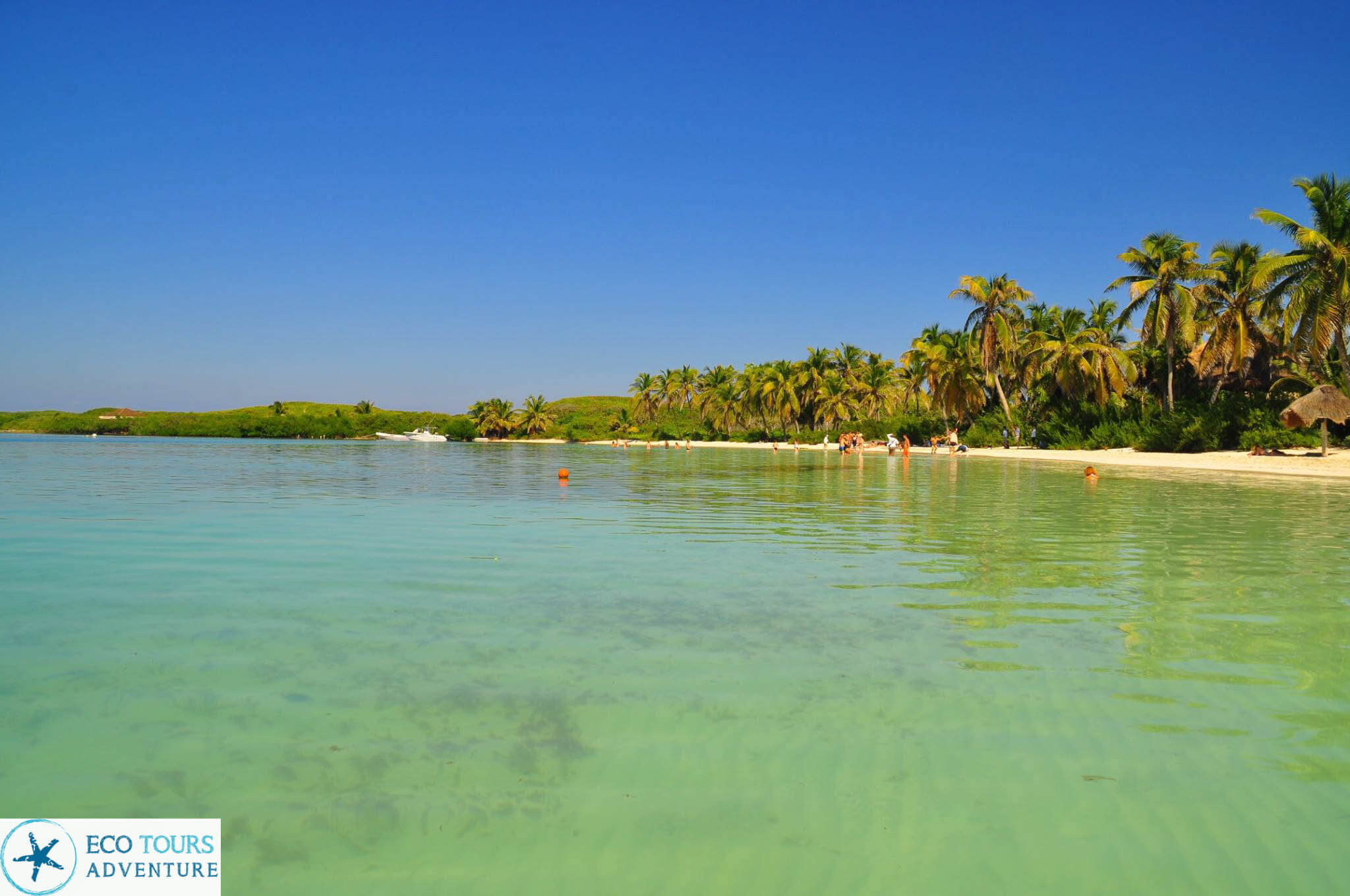 Whale Shark Tour Cancun Playa del Carmen - Private Island of Contoy